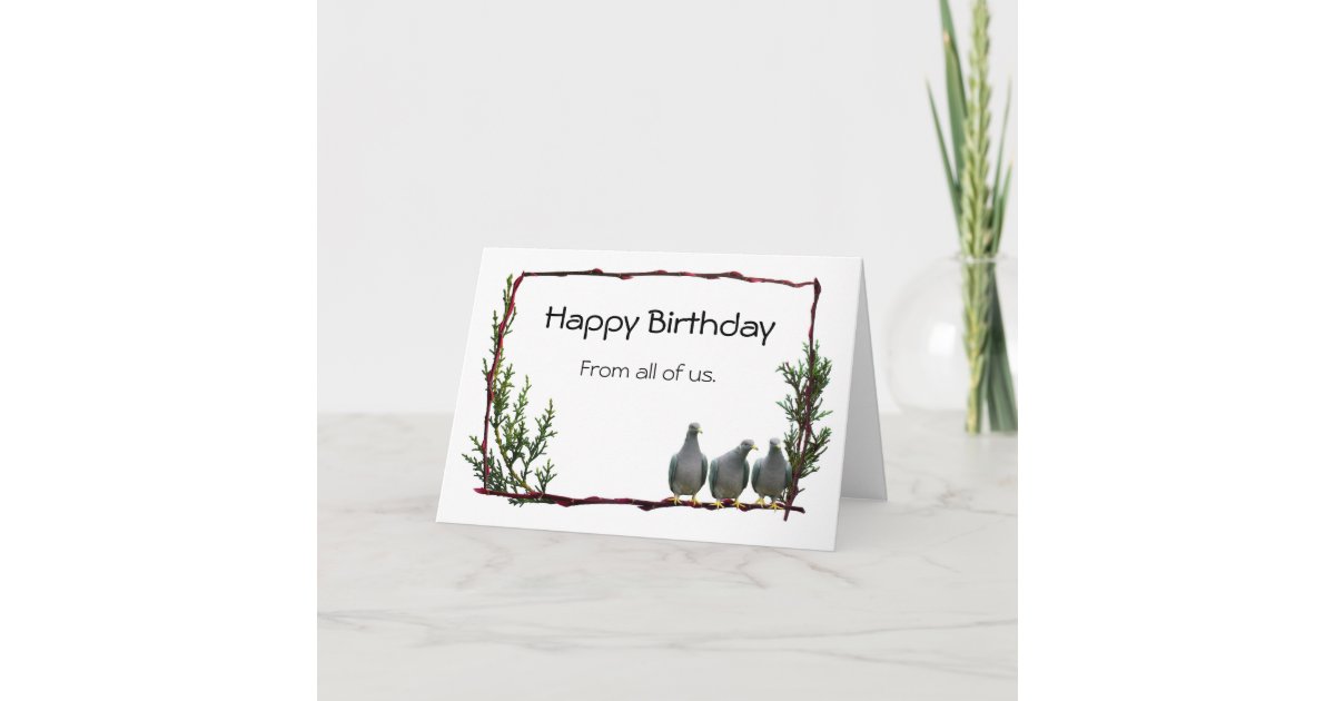 Pigeons on Twig Birthday Card | Zazzle