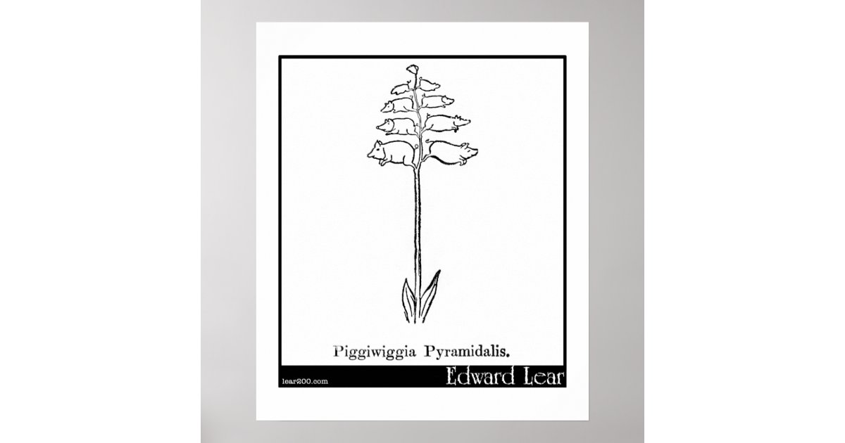 Piggiwiggia Pyramidalis. Poster | Zazzle