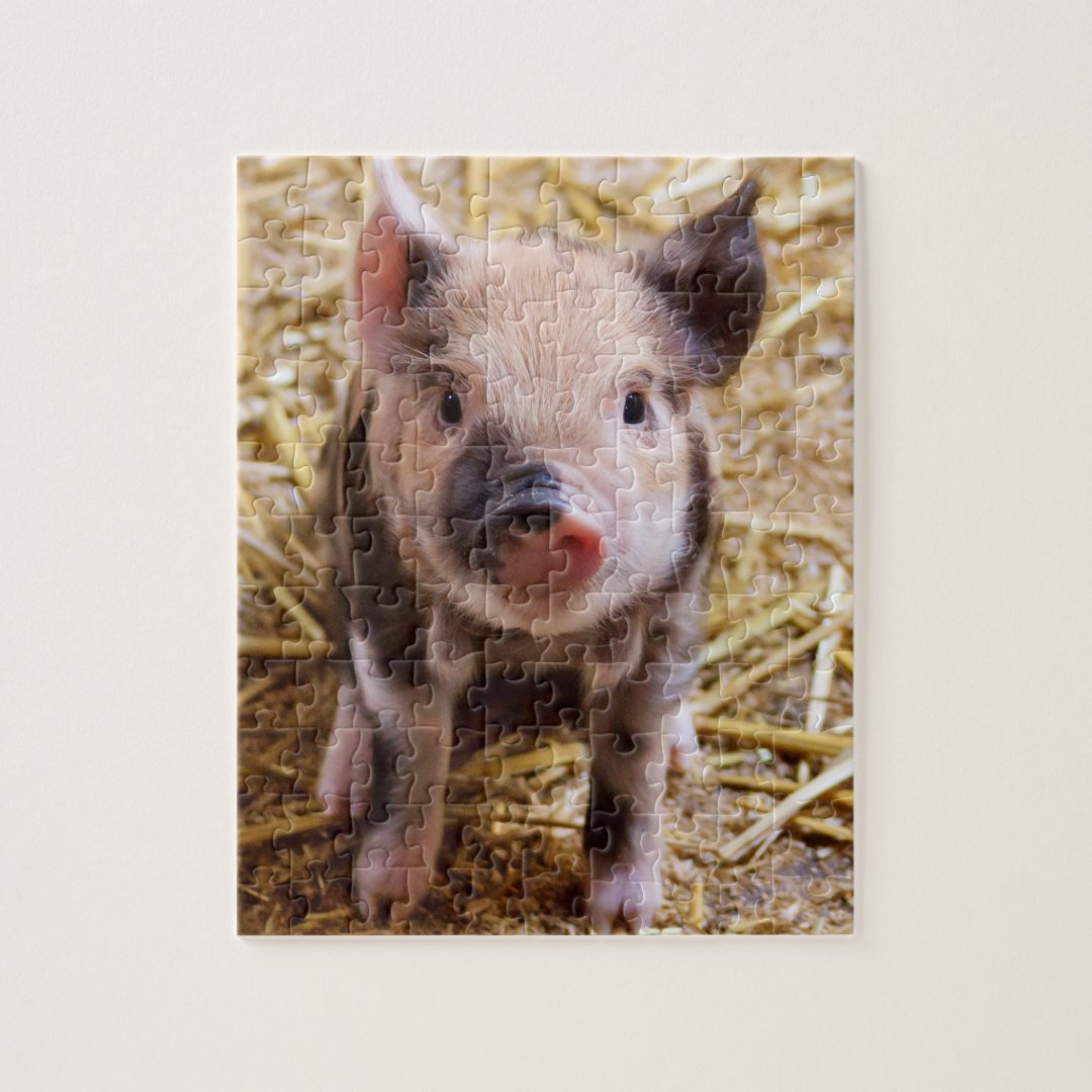 Piglet Jigsaw Puzzle | Zazzle