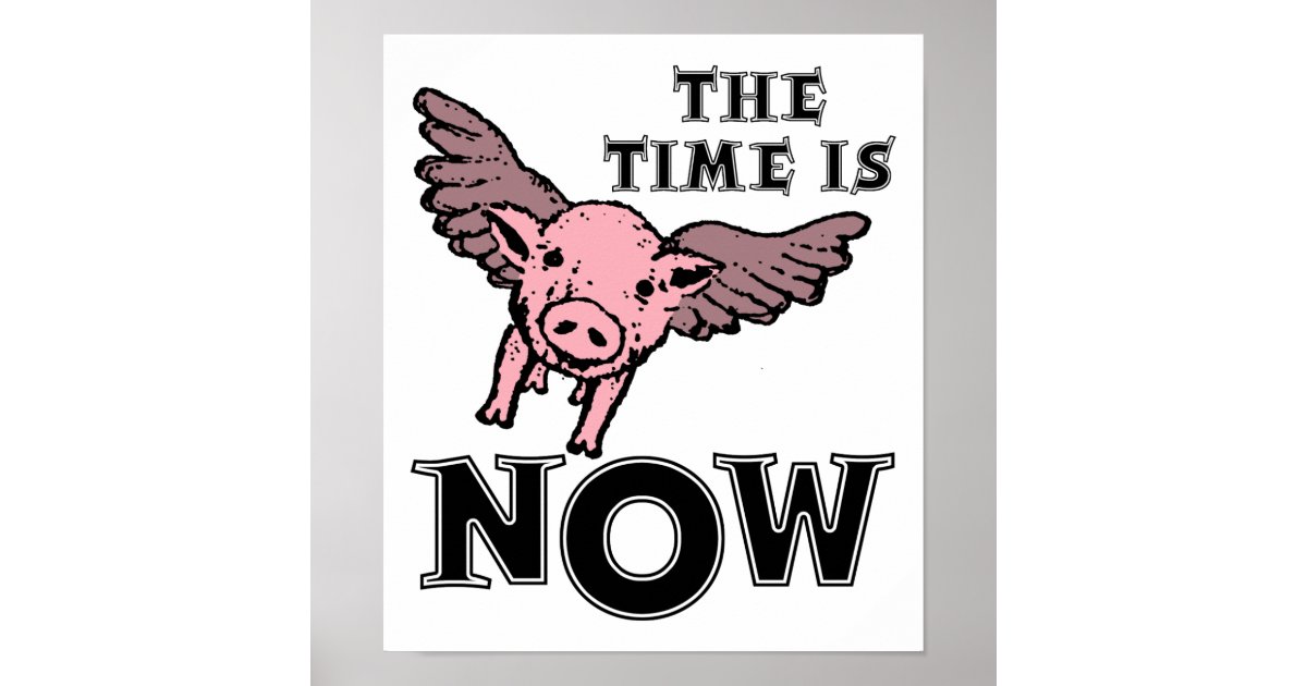 Pigs Fly Now Funny Poster | Zazzle
