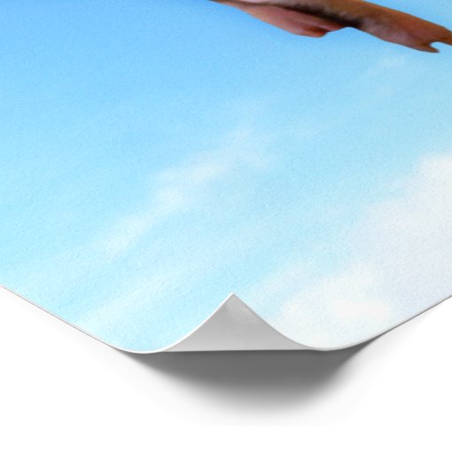 Pigs Might Fly Poster | Zazzle