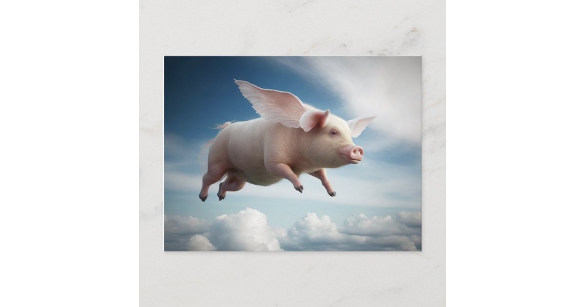 Pigs will Fly! Postcard | Zazzle