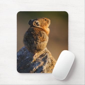 pika mouse pad | Zazzle
