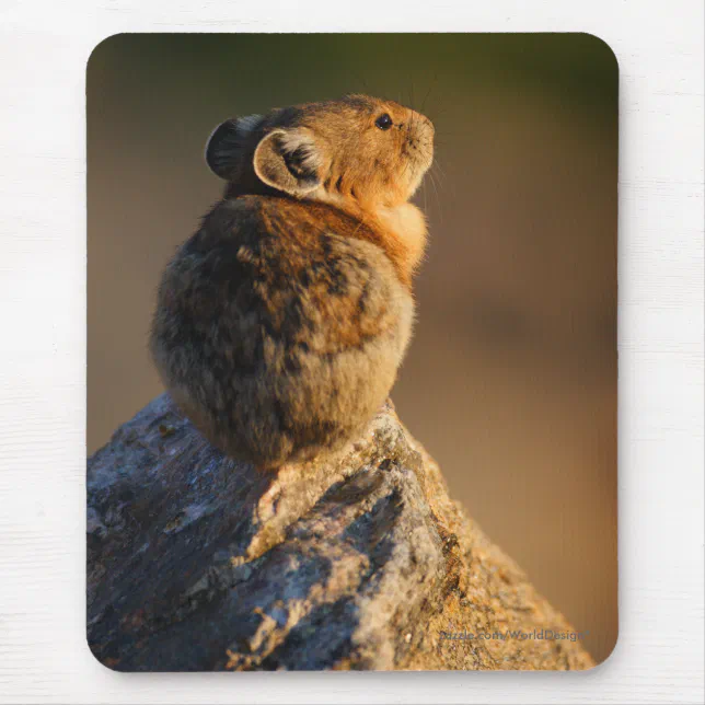 pika mouse pad | Zazzle