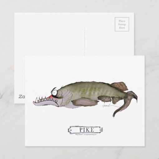 Pike fish, tony fernandes postcard | Zazzle