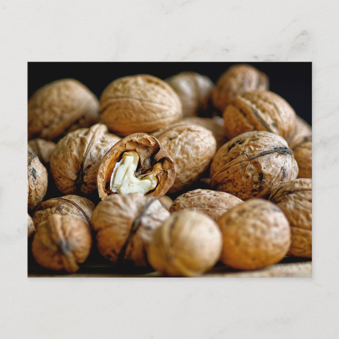 Pile of walnuts photograph postcard | Zazzle
