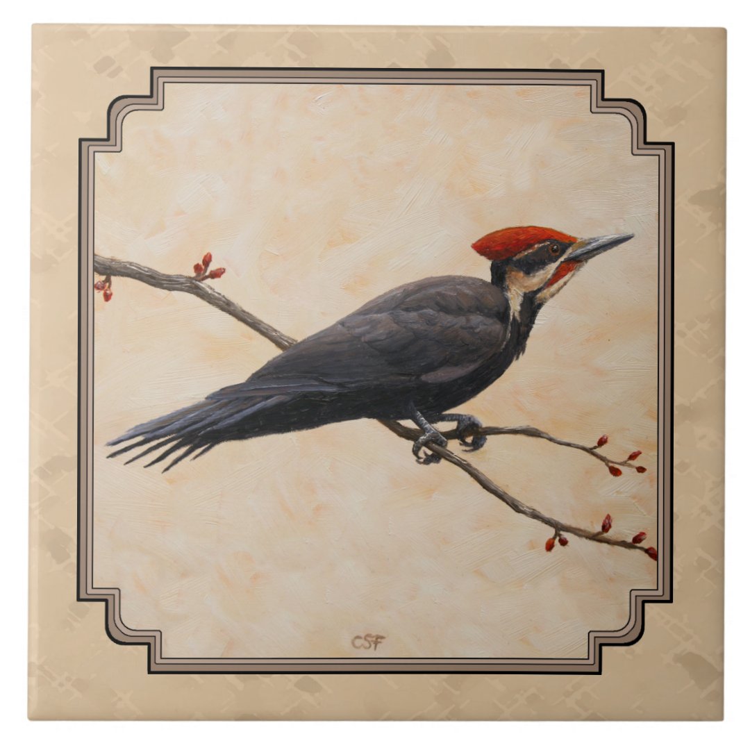 Pileated Woodpecker Tan Ceramic Tile | Zazzle