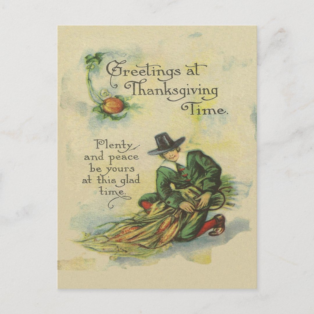 Pilgrim Thanksgiving Greetings Holiday Postcard | Zazzle