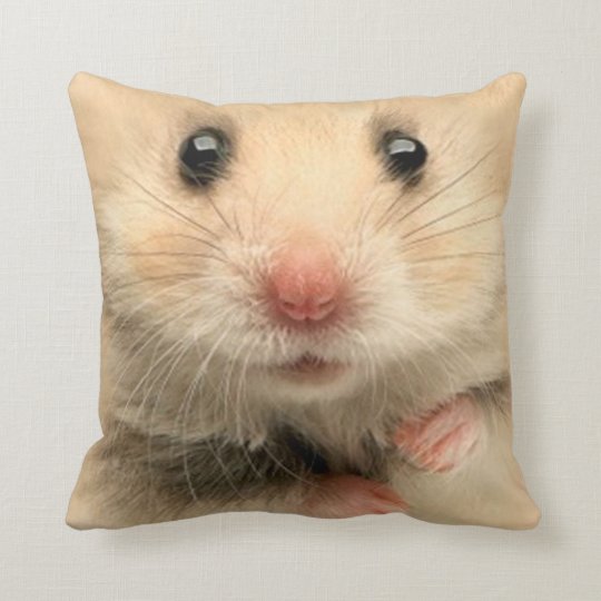 Pillow pet hamster | Zazzle.com