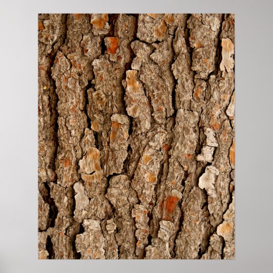 Pine Bark Abstract Poster | Zazzle.com