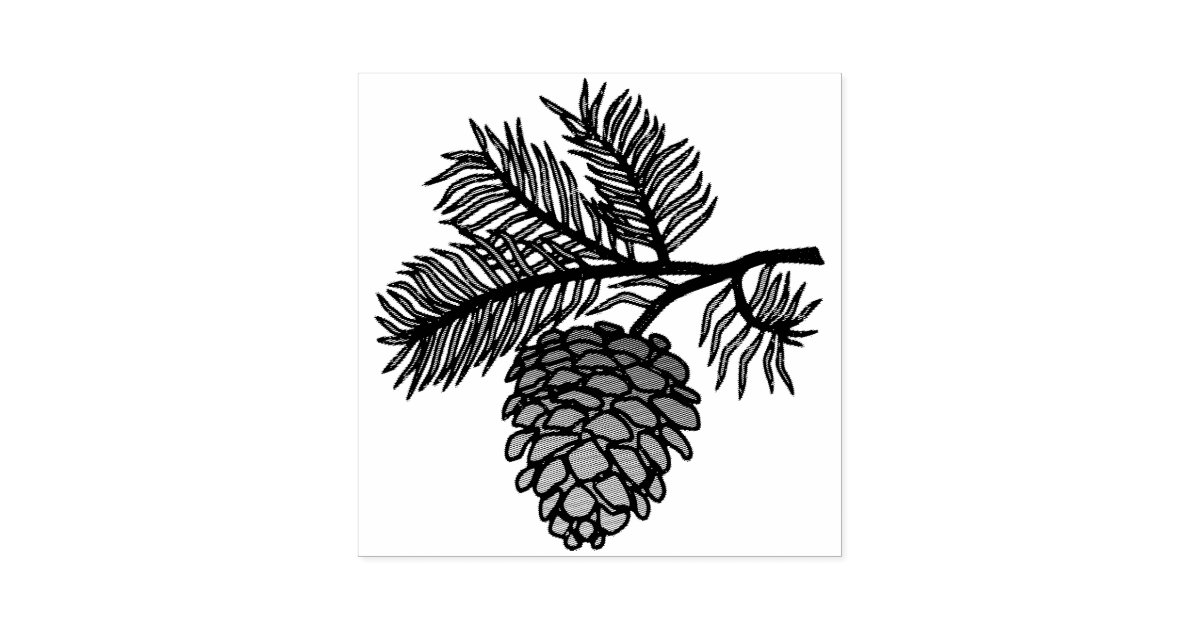 Pine Cone and Branch Rubber Stamp | Zazzle
