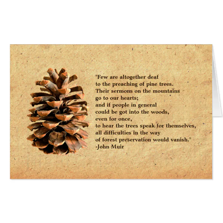 Pine Cone And John Muir Quote Card | Zazzle
