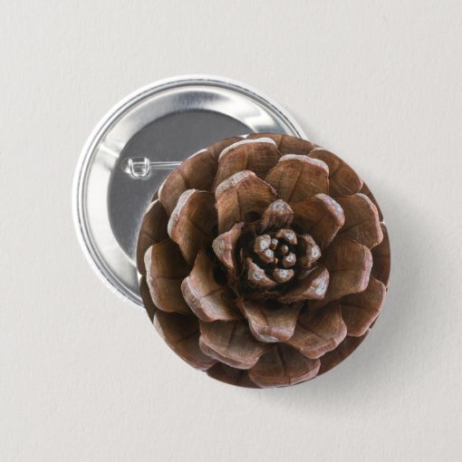 Pine cone button | Zazzle