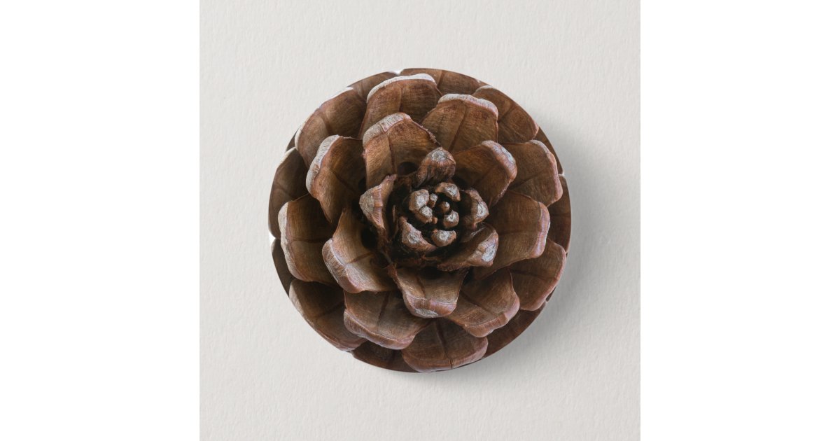 Pine cone button | Zazzle