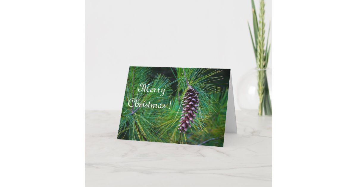 Pine Cone Holiday Card | Zazzle