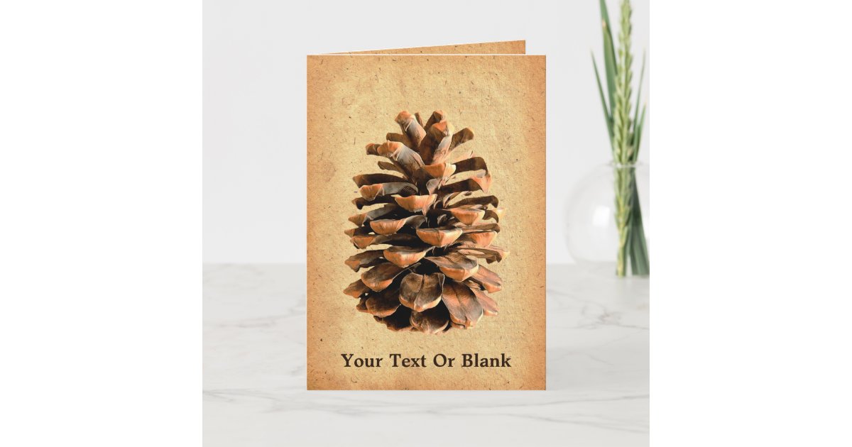 Pine Cone On Parchment Card | Zazzle