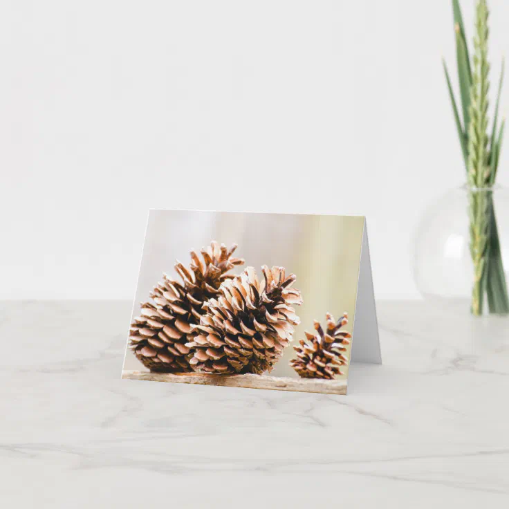 Pine Cones Note Card | Zazzle