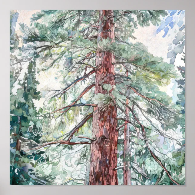 Pine Forest Landscape Home Decor Poster | Zazzle
