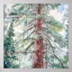 Pine Forest Landscape Home Decor Poster | Zazzle