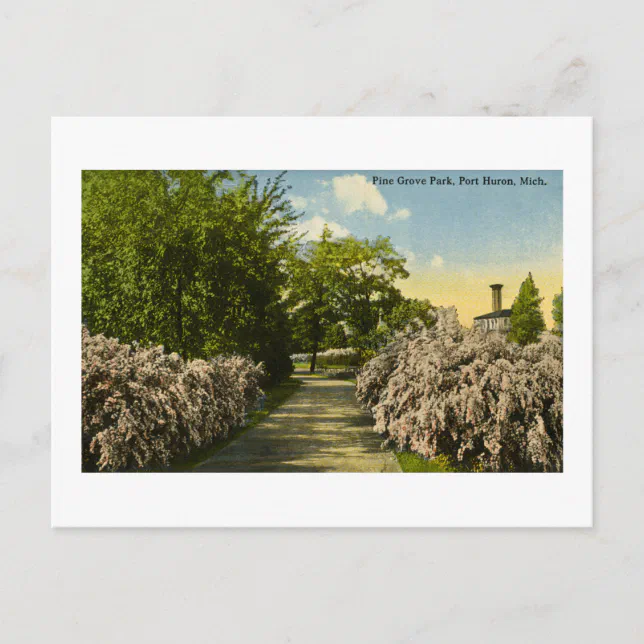 Pine Grove Park Port Huron Michigan Vintage Postcard | Zazzle