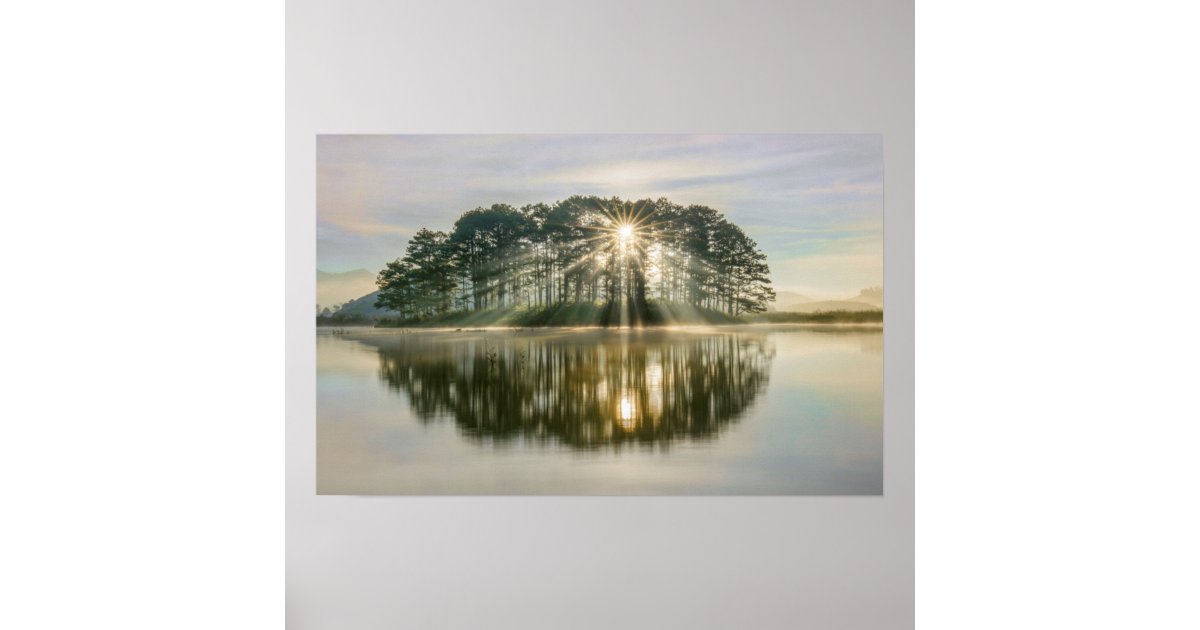 Pine Island Sunray Poster | Zazzle