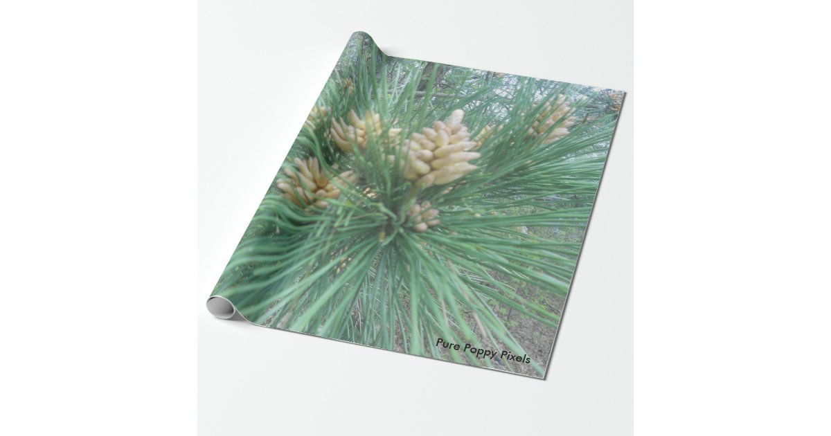 Pine Needle Wrapping Paper | Zazzle