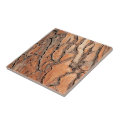 Pine Tree Bark Texture Ceramic Tile | Zazzle