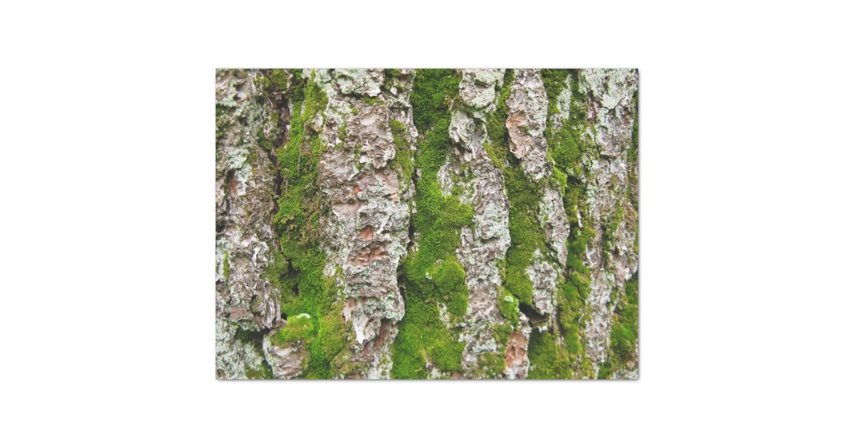Pine Tree Bark With Moss Tissue Paper | Zazzle