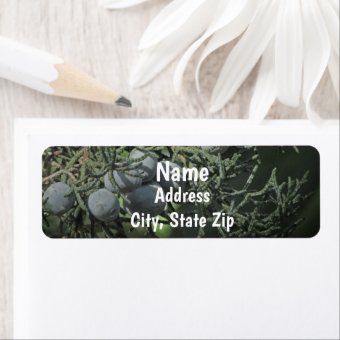 Pine Tree Berries Nature Photo Rustic Address Label | Zazzle