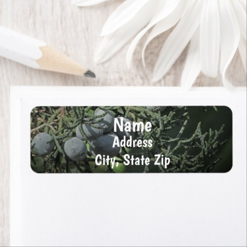 Pine Tree Berries Nature Photo Rustic Address Label | Zazzle