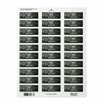Pine Tree Berries Nature Photo Rustic Address Label | Zazzle