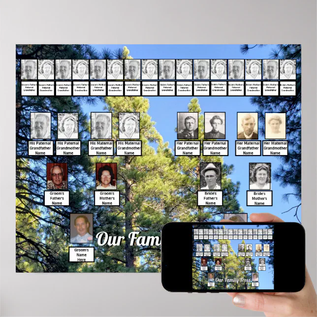 Pine Tree Forest Photo 2 Family Trees Poster | Zazzle
