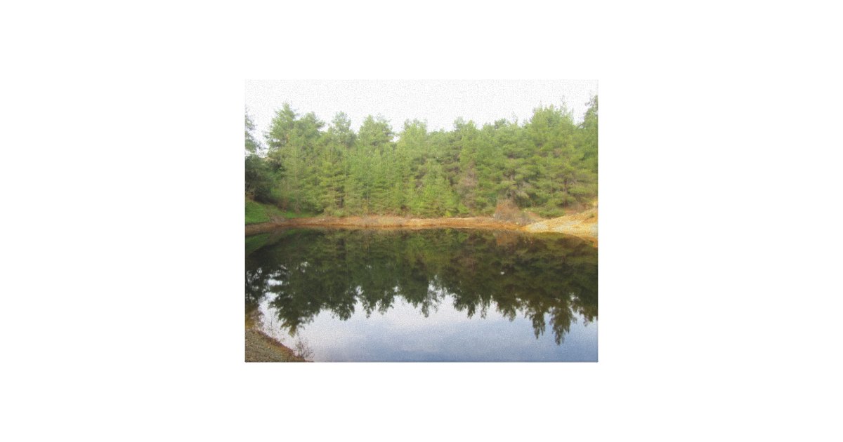 Pine Tree Reflection Lake Canvas Print | Zazzle