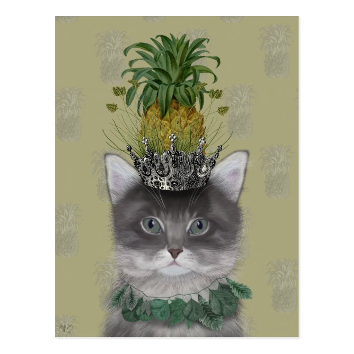 Pineapple Cat Postcard | Zazzle.com