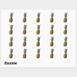 Pineapple Square Sticker | Zazzle