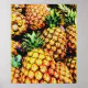 "Pineapples" Cute Photo. Buy Now Poster | Zazzle