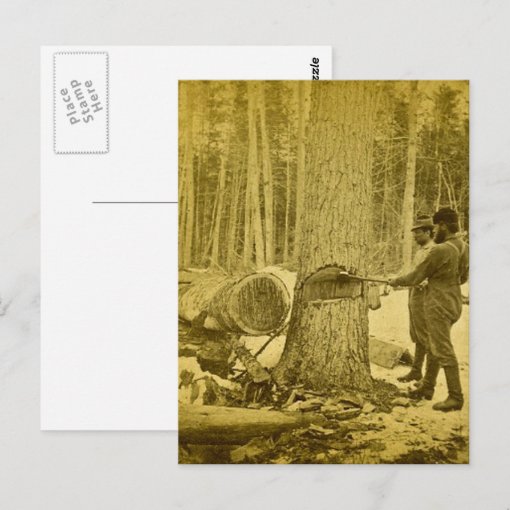 Pineries of Michigan Goodridge Brothers Saginaw MI Postcard | Zazzle