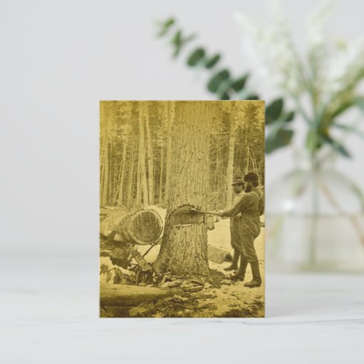 Pineries of Michigan Goodridge Brothers Saginaw MI Postcard | Zazzle