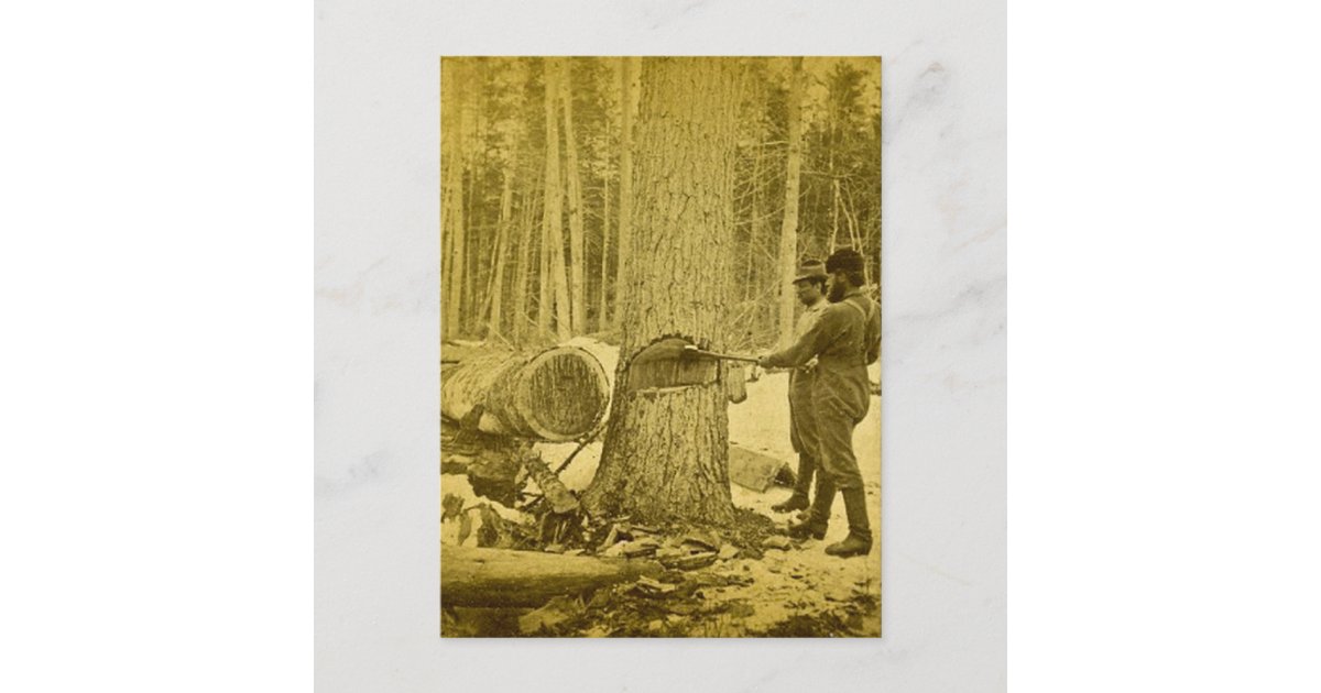 Pineries of Michigan Goodridge Brothers Saginaw MI Postcard | Zazzle