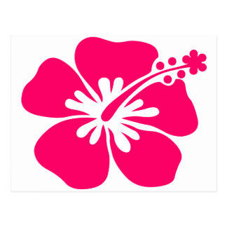 Aloha Flowers Postcards | Zazzle