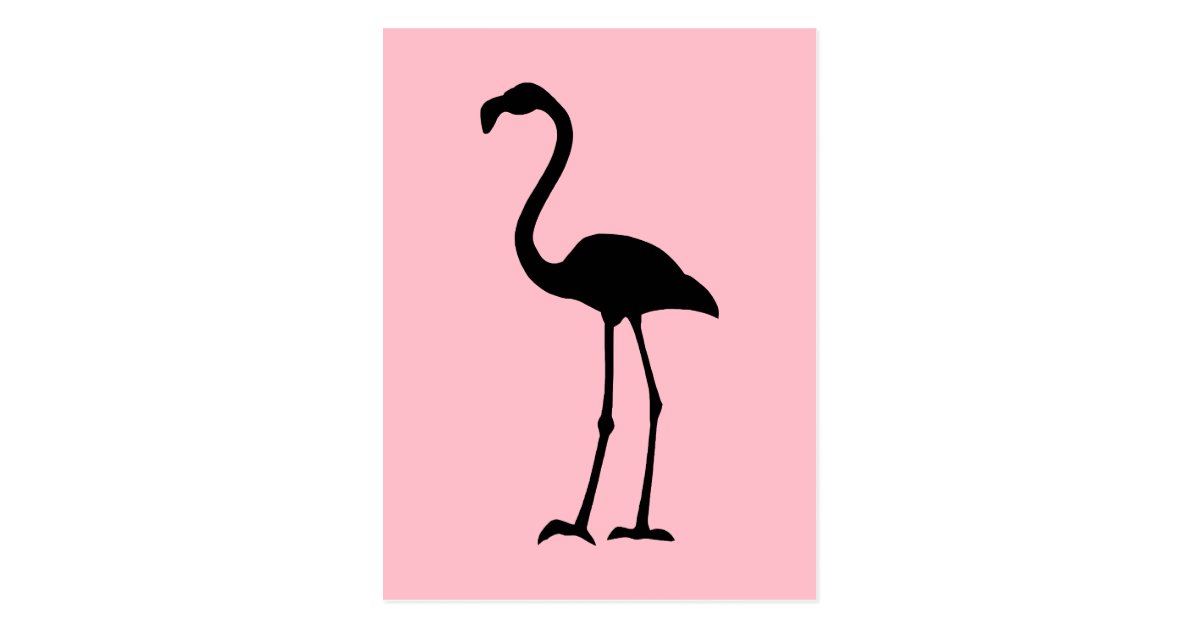 Pink and Black Flamingo Postcard | Zazzle.com