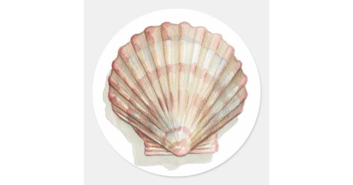 Pink and Cream Seashell Classic Round Sticker | Zazzle