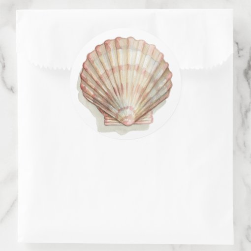 Pink and Cream Seashell Classic Round Sticker | Zazzle