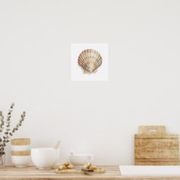 Pink and Cream Seashell Poster | Zazzle