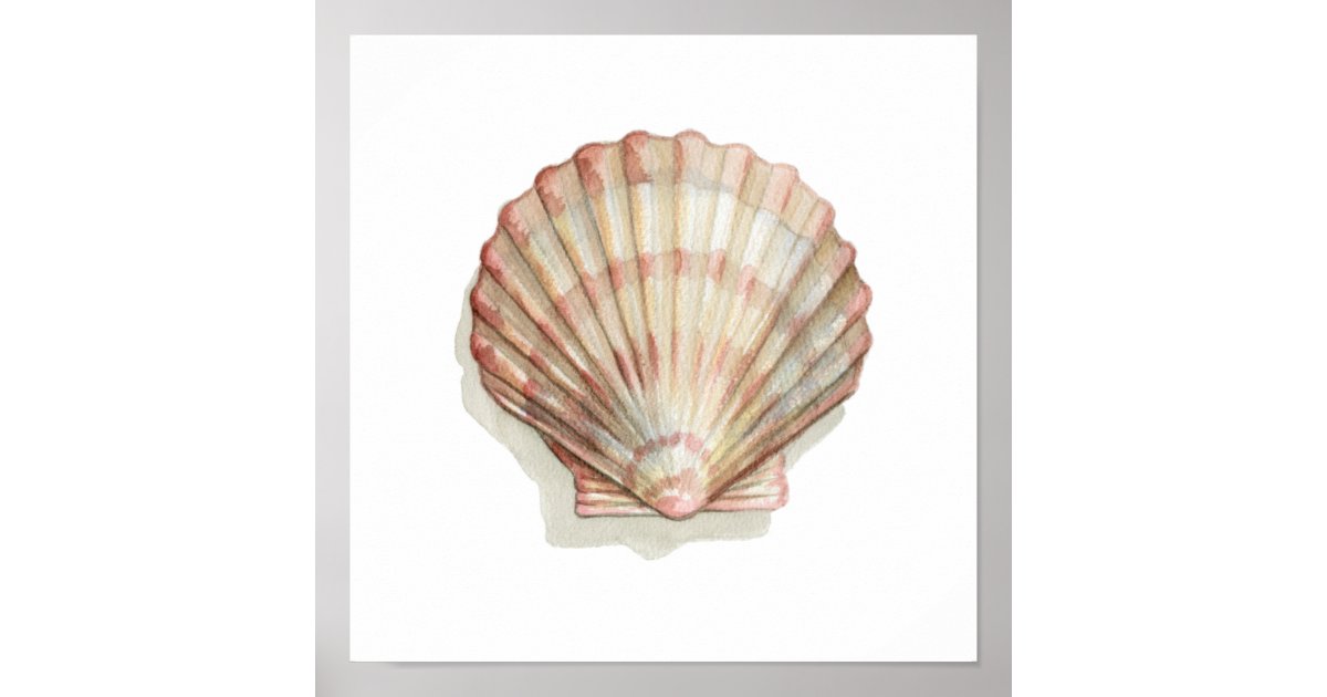 Pink and Cream Seashell Poster | Zazzle