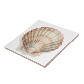 Pink and Cream Seashell Tile | Zazzle
