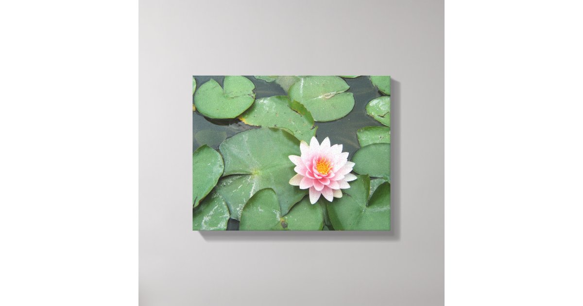 Pink and Green Lily Pad Pretty Photograph Canvas Print | Zazzle