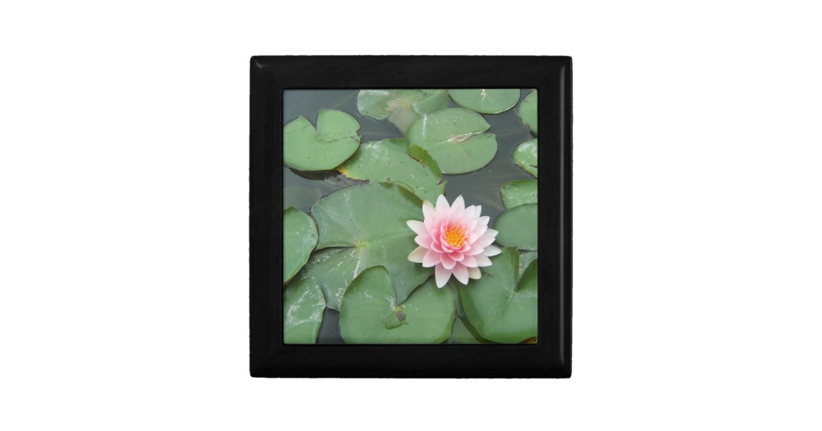 Pink and Green Lily Pad Pretty Photograph Jewelry Box | Zazzle