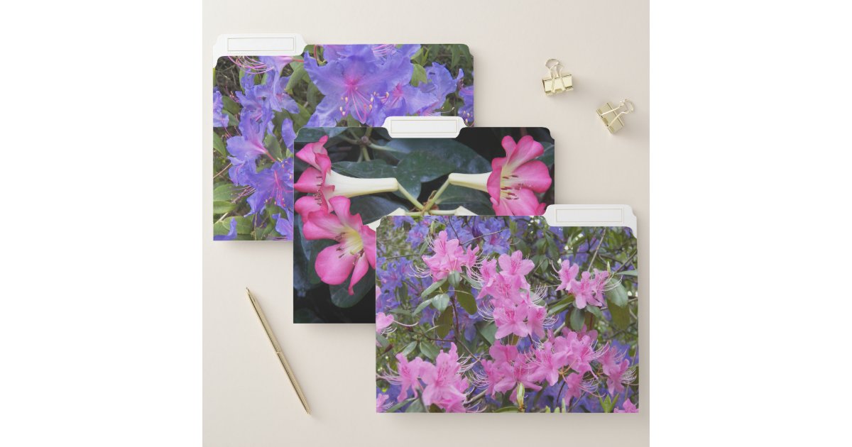 Pink and Purple Rhododendrons Floral File Folder | Zazzle