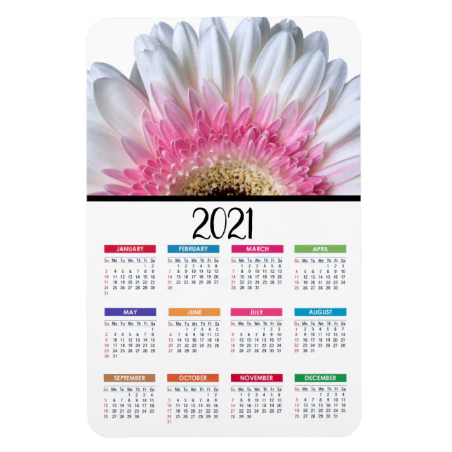 Pink and White Gerbera Daisy | 2021 Calendar Magnet | Zazzle